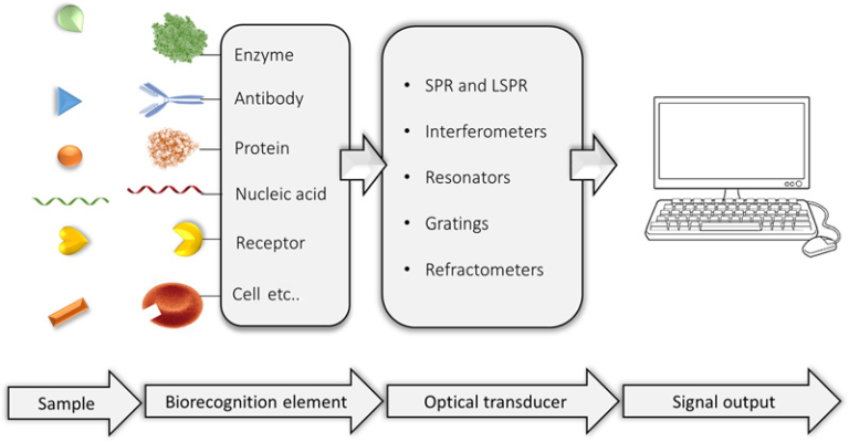 Optical Biosensors in Medical Diagnostics