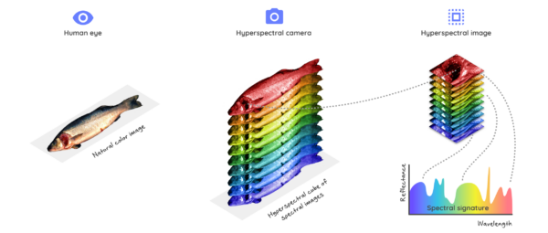 Hyperspectral Imaging Cameras: Brief Guide