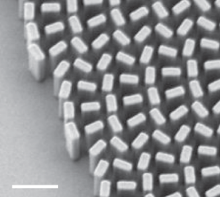 LECC Technology Unveils Mass-Production Meta Lens Laser Module ...