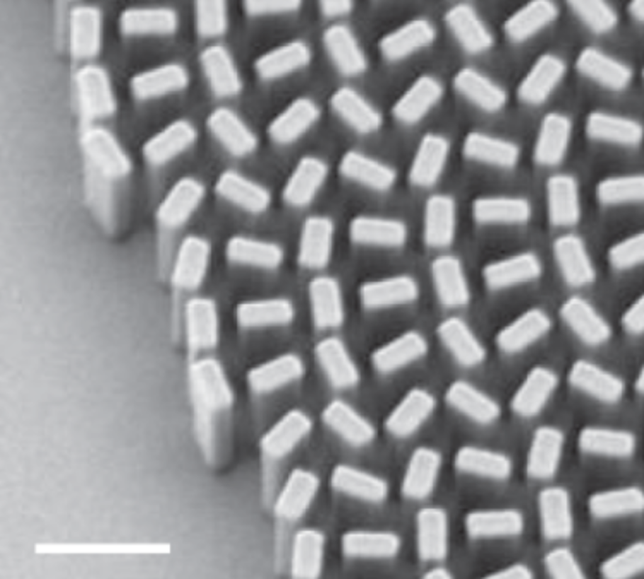 LECC Technology Unveils Mass-Production Meta Lens Laser Module ...