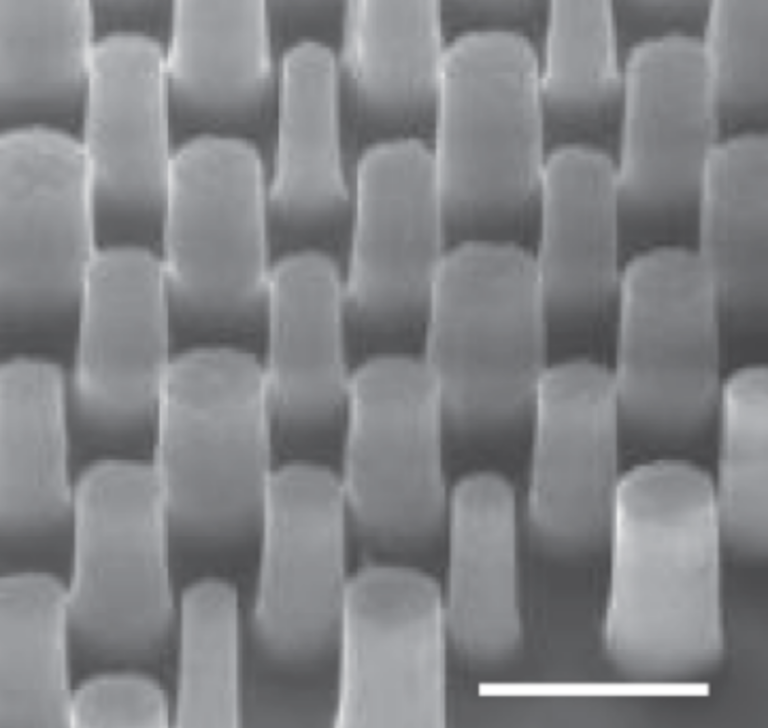 LECC Technology Unveils Mass-Production Meta Lens Laser Module ...